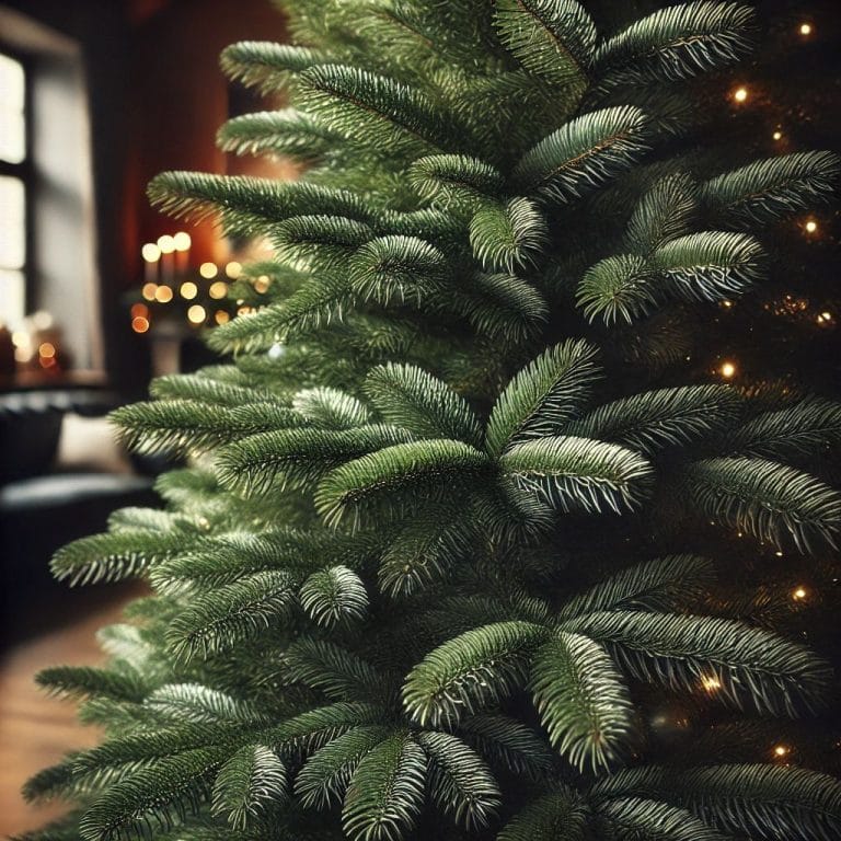 What Kind Of Tree Is A Christmas Tree? The Ultimate Evergreen Guide